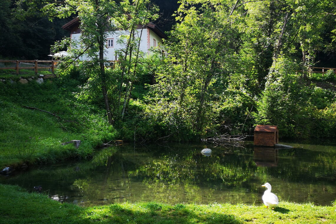 Il MMAPE un museo dedicato alle api - La Luna di Carta - Viaggi e ...