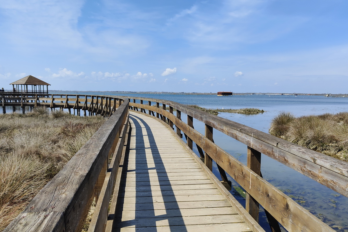 Il giardino botanico di Porto Caleri a Rosolina - La Luna di Carta ...