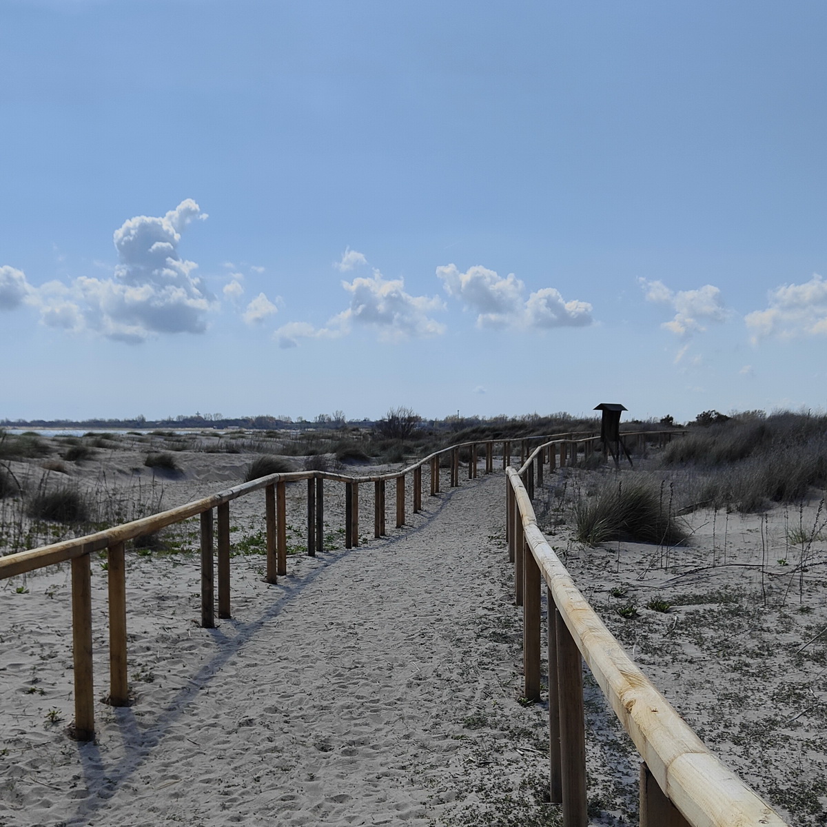 Il giardino botanico di Porto Caleri a Rosolina - La Luna di Carta ...